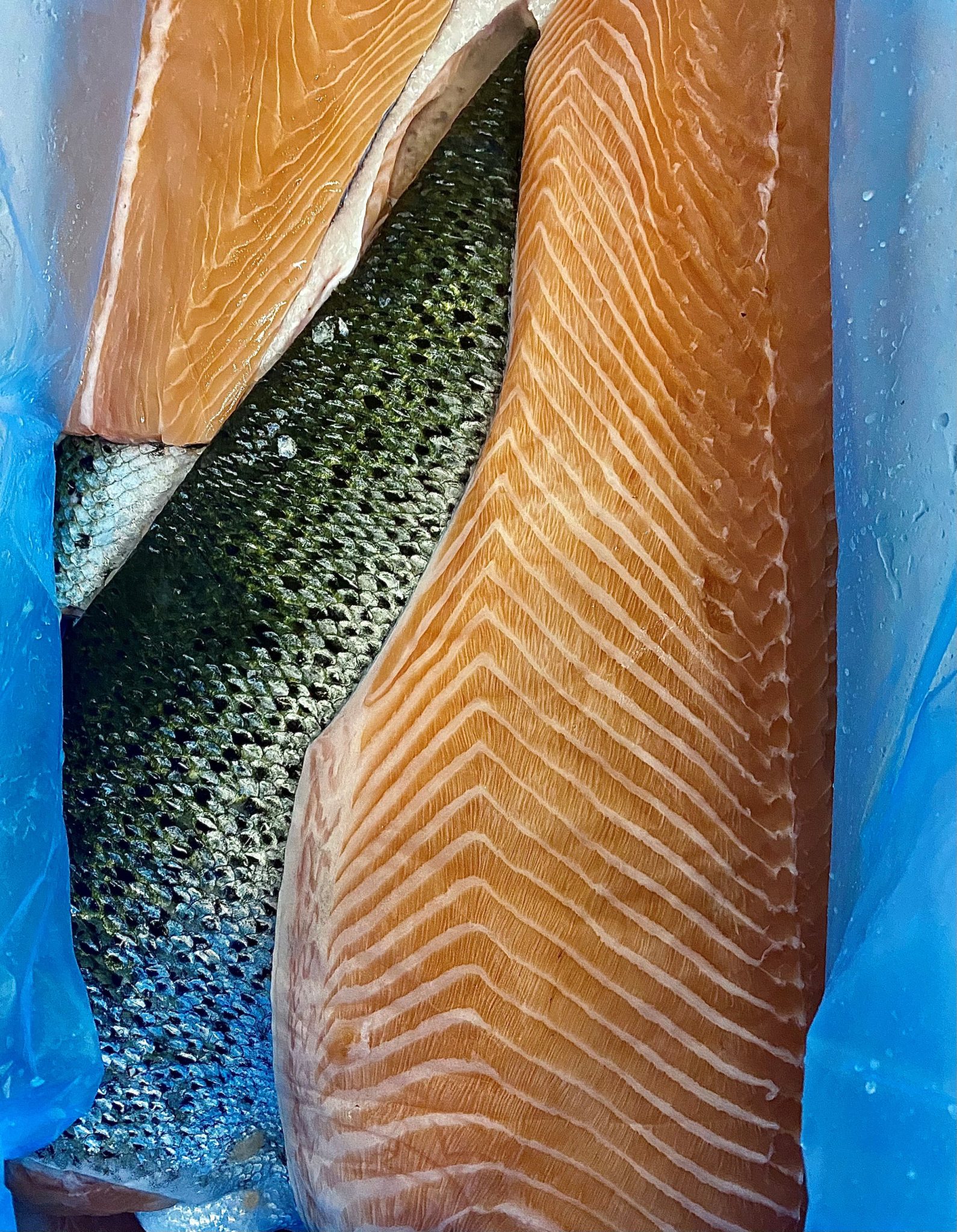 Fresh Fish – Misty Harbour Seafood