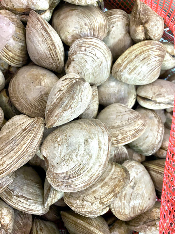 Periwinkles – Misty Harbour Seafood