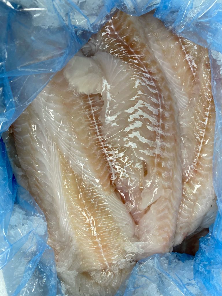 Fresh – Misty Harbour Seafood